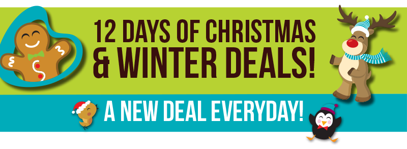 12 Days of Christmas and Winter Deals – Raymond Geddes