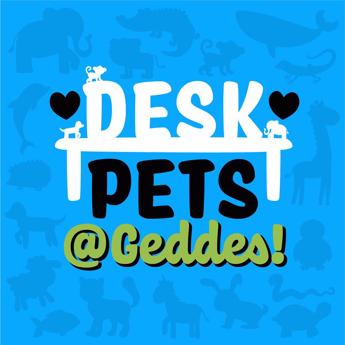 Desk Pets & Desk Pet Accessories for the Classroom | GEDDES – Raymond ...