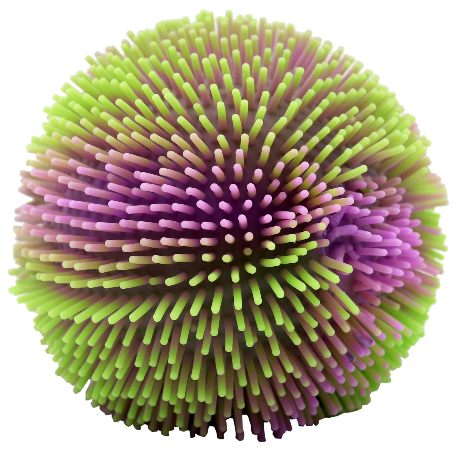 Fun Novelty Toys & Games | Bulk Prizes for Students | Shop GEDDES