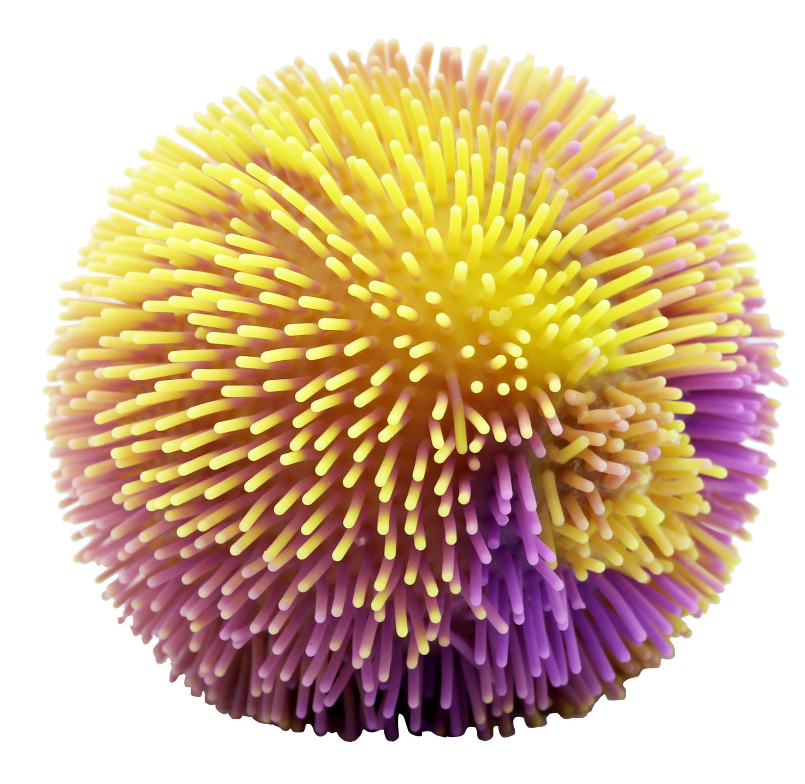 Shop New Items at Raymond Geddes